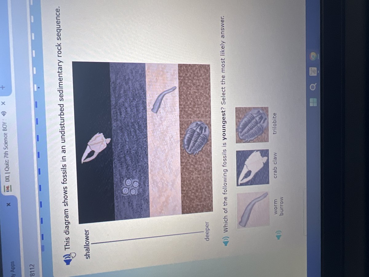 This diagram shows fossils in an undisturbed sedimentary rock sequence.