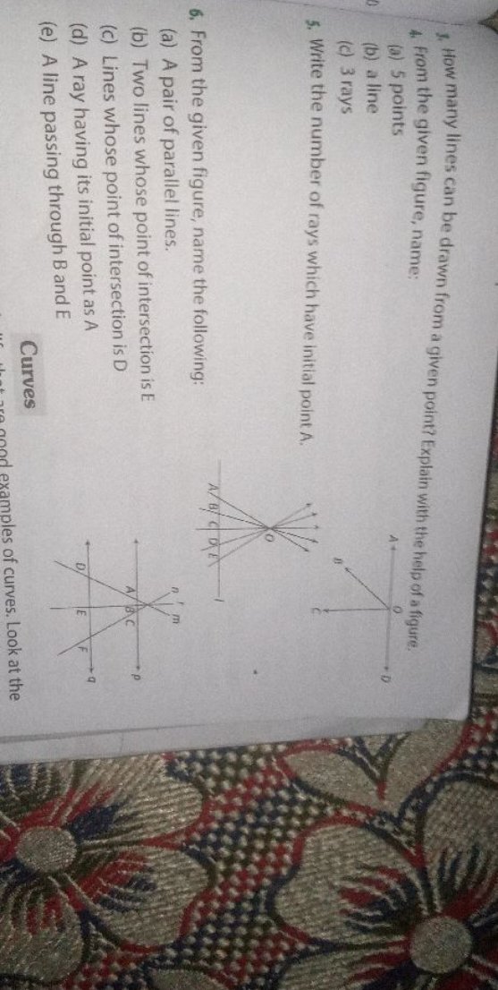 How many lines can be drawn from a given point? Explain with the help of