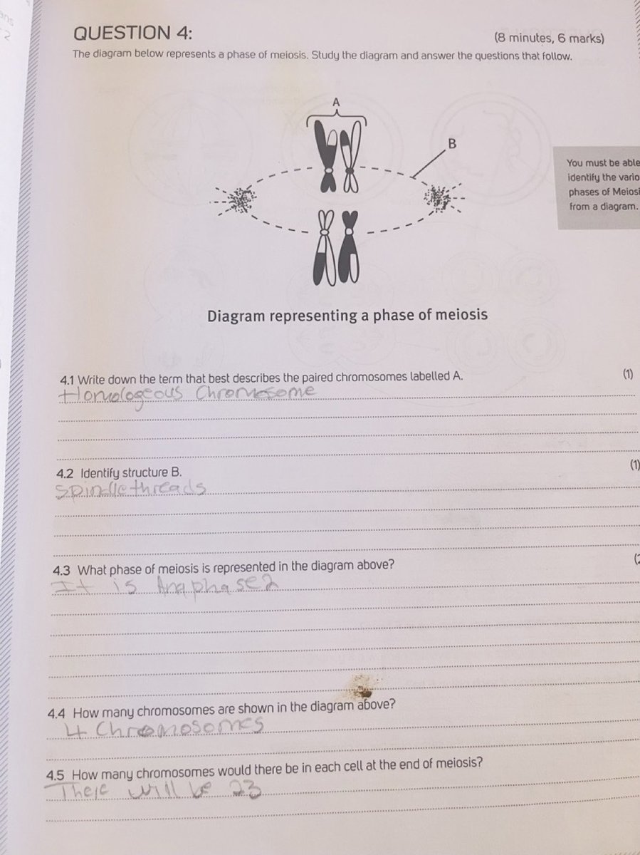 QUESTION 4: The diagram below represents a phase of meiosis. Study the di..