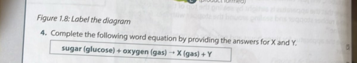 Figure 1.8: Label the diagram Complete the following word equation by pr..