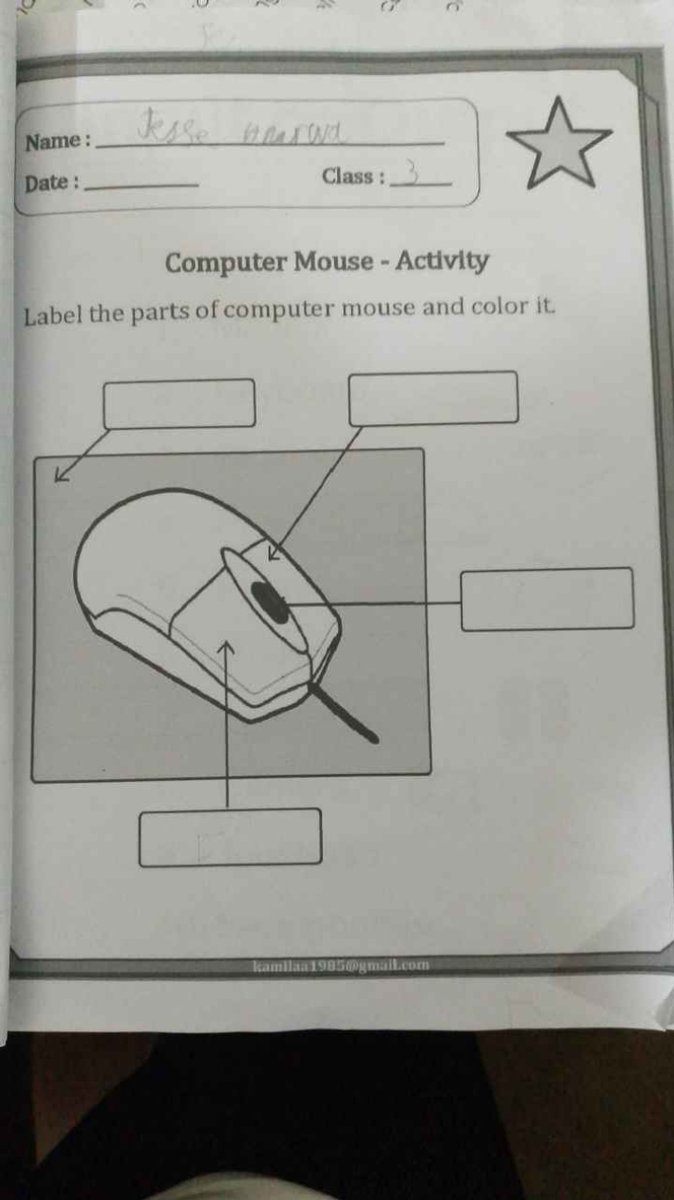 Computer Mouse - Activity Label the parts of computer mouse and color it..