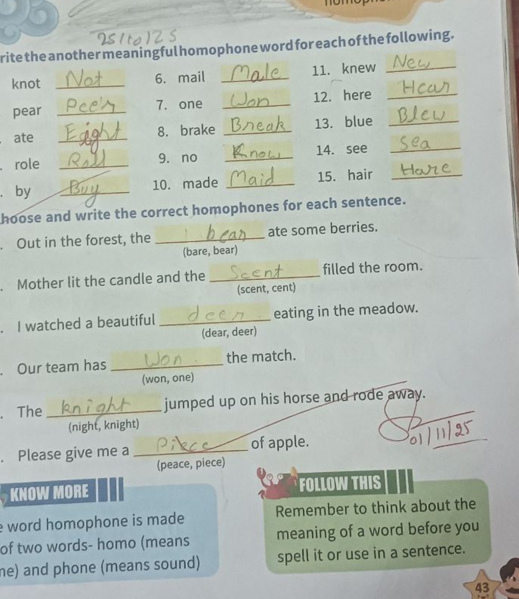 Write the another meaningful homophone word for each of the following: kn..
