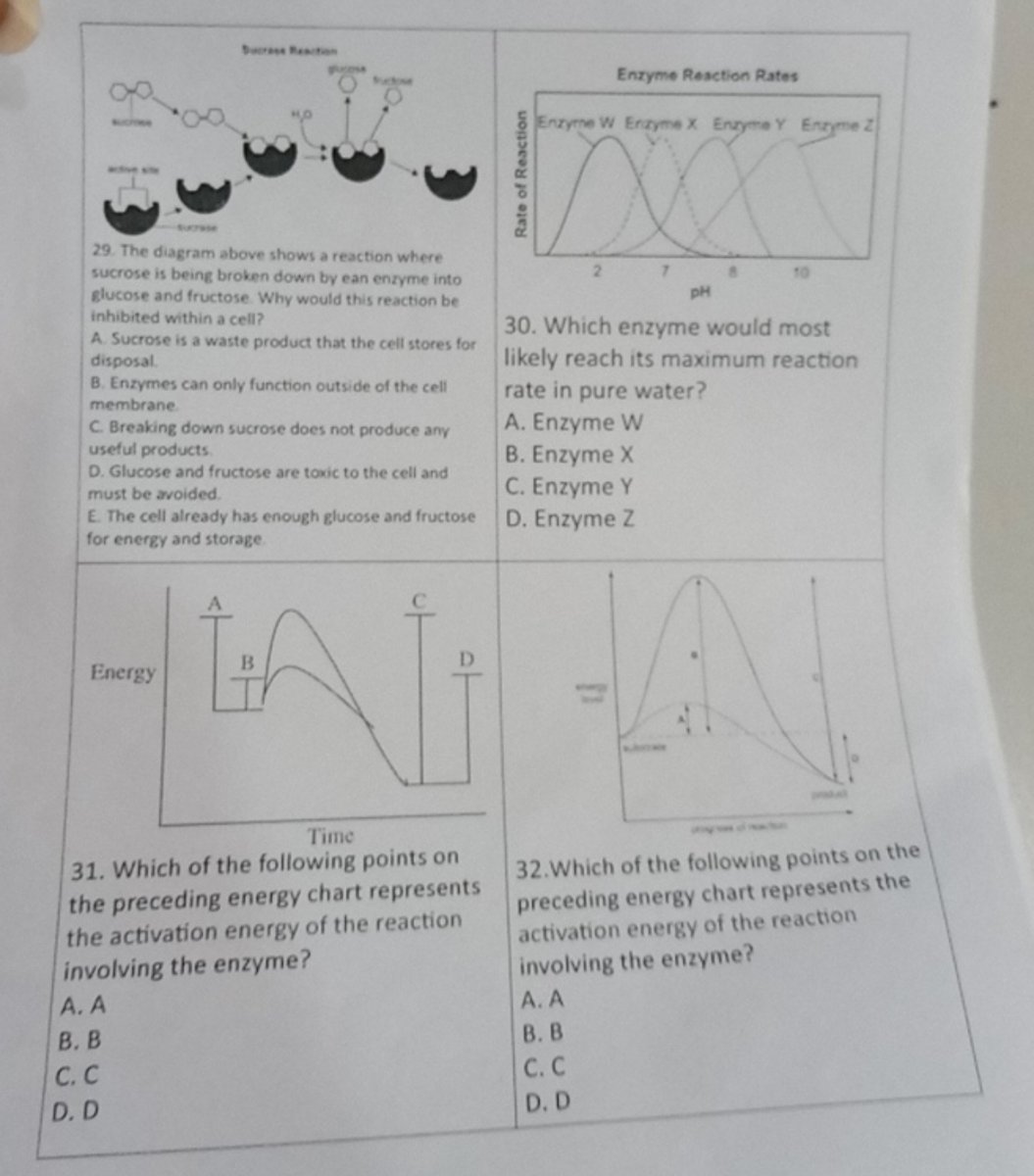 Here are four multiple-choice questions related to enzyme reactions and e..