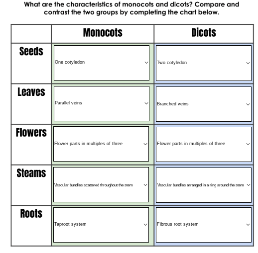 What are the characteristics of monocots and dicots? Compare and contrast..