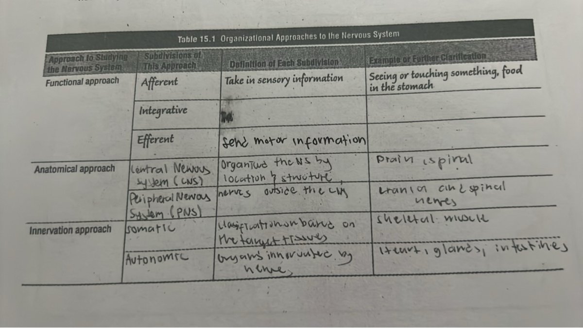 Table 15.1 Organizational Approaches to the Nervous System | Approach to..