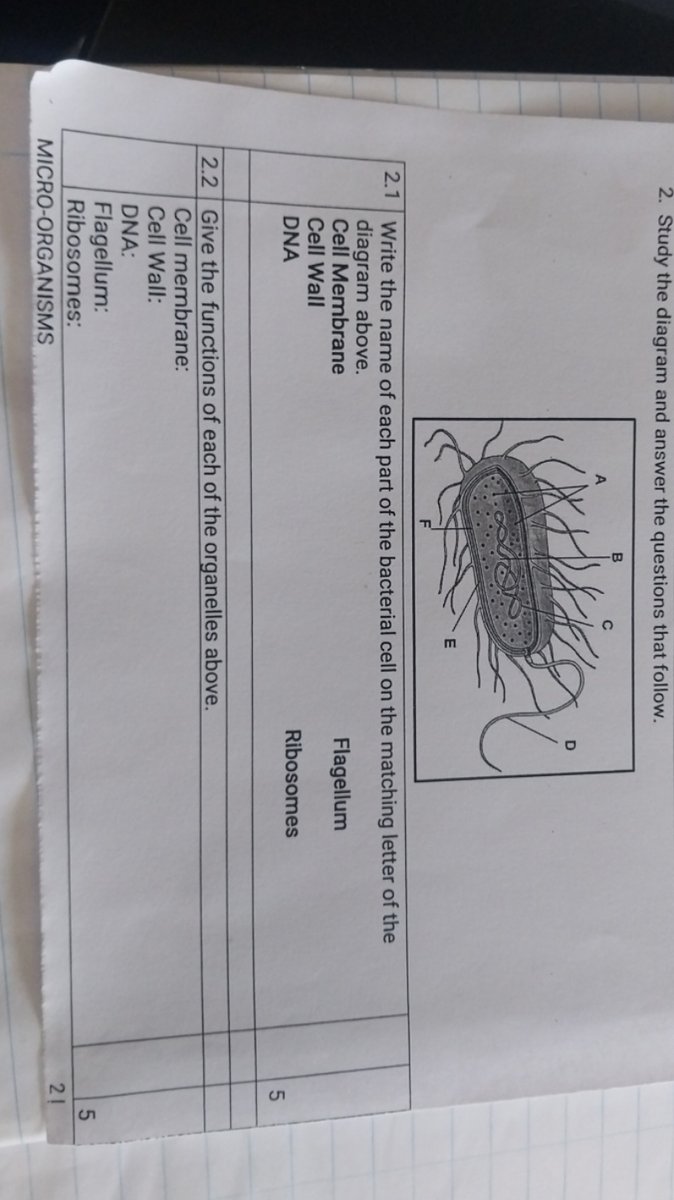 Study the diagram and answer the questions that follow. 2.1 Write the na..