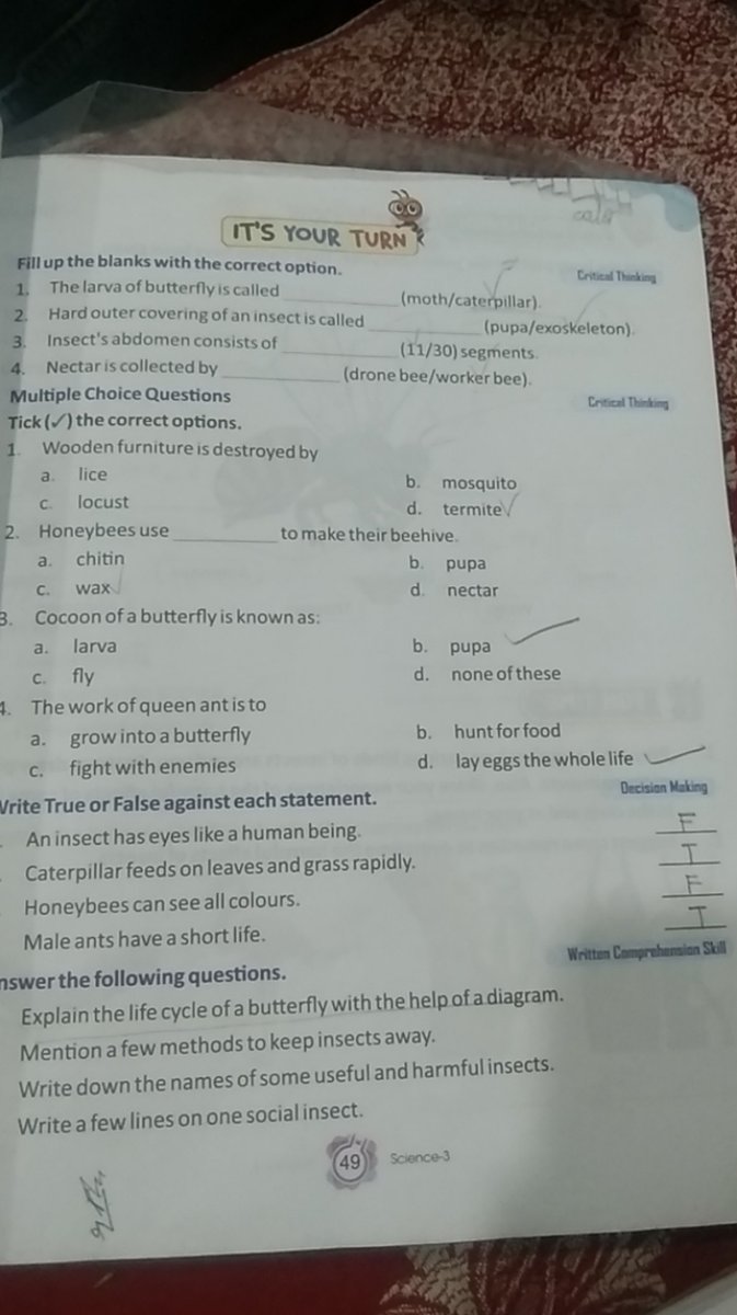 Fill up the blanks with the correct option. The larva of butterfly is cal..