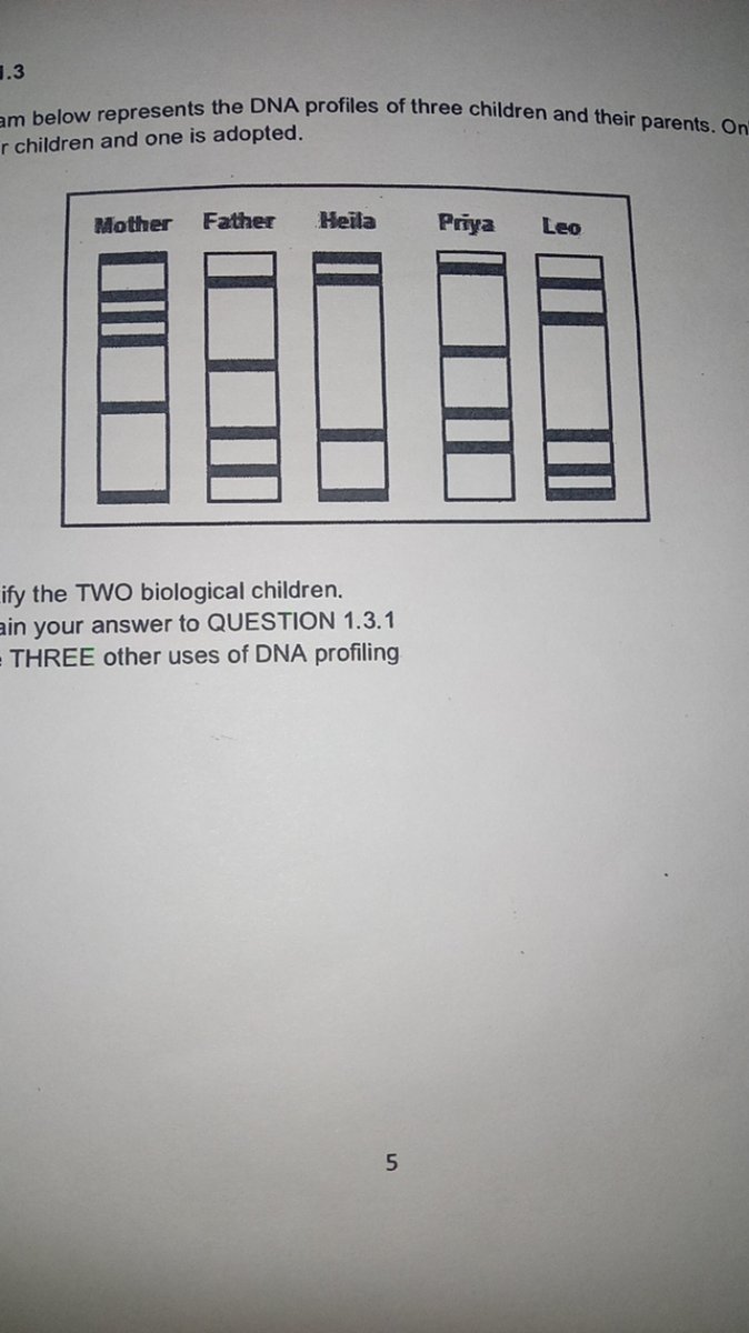 The diagram below represents the DNA profiles of three children and their..