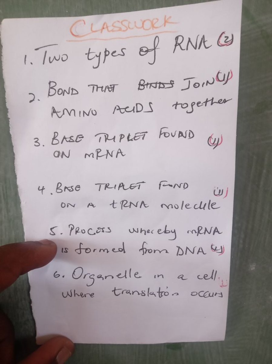 CLASSWORK Two types of RNA Bond that binds amino acids together Base tri..