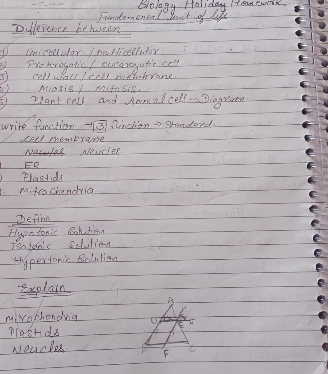 Biology Holiday Homework. Fundamental unit of life Difference between Un..