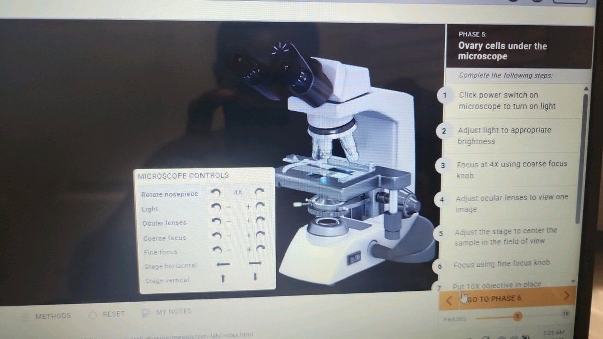The image displays a virtual lab interface for observing "Ovary cells und..