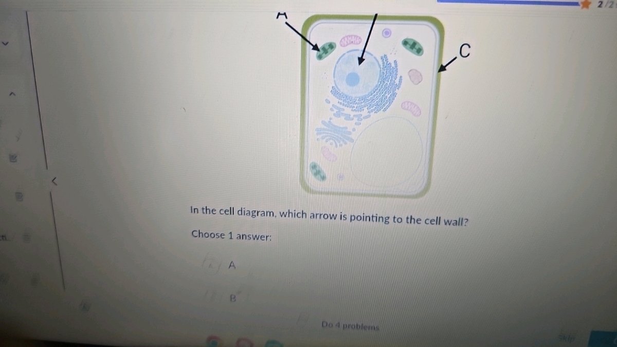 In the cell diagram, which arrow is pointing to the cell wall? Choose 1