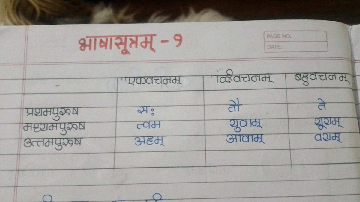 The image shows a table with Sanskrit pronouns categorized by person (प्र..