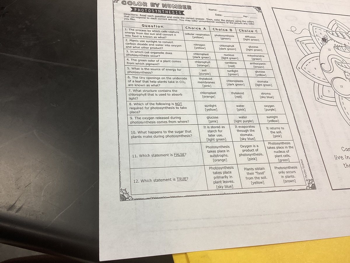 COLOR BY NUMBER PHOTOSYNTHESIS Directions: Read each question and circle..