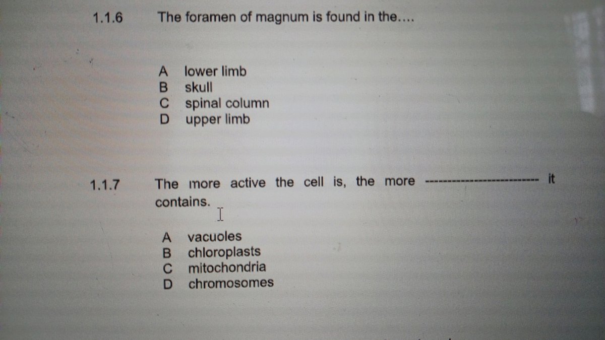 1.1.6 The foramen of magnum is found in the.... A lower limb B skull C sp..