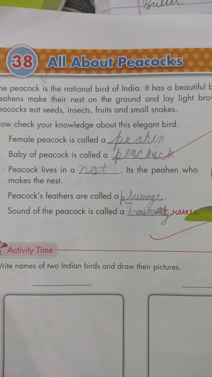 Write names of two Indian birds and draw their pictures. | Filo