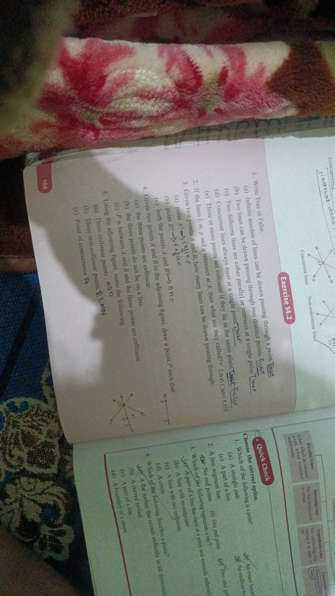 Exercise 14.2 Write True or False. (a) Infinite number of lines can b..
