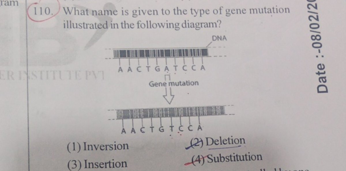 What name is given to the type of gene mutation illustrated in the follow..