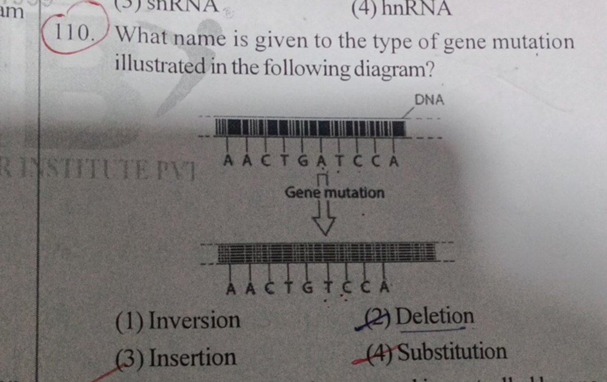 What name is given to the type of gene mutation illustrated in the follow..