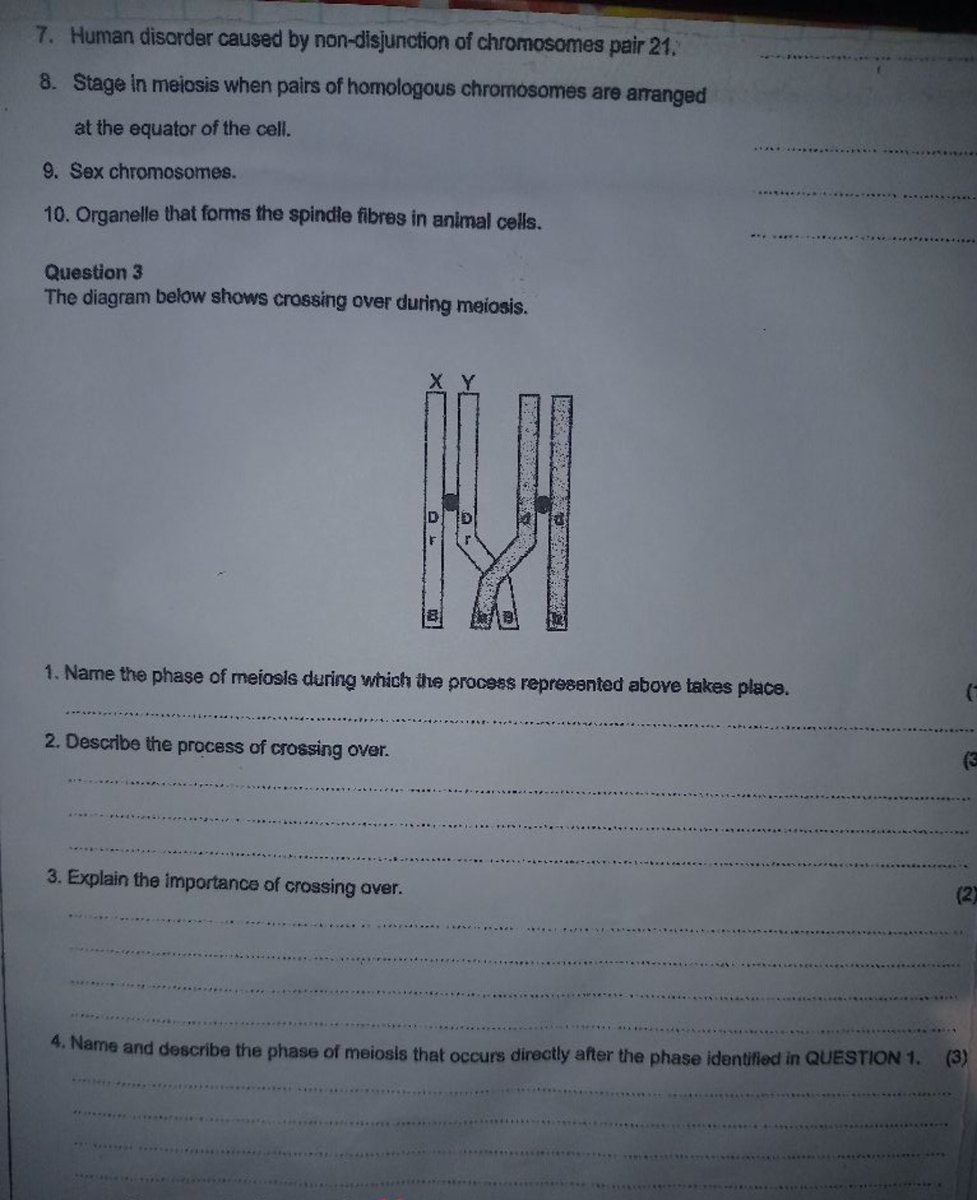 Question 3 The diagram below shows crossing over during meiosis. Diagram..