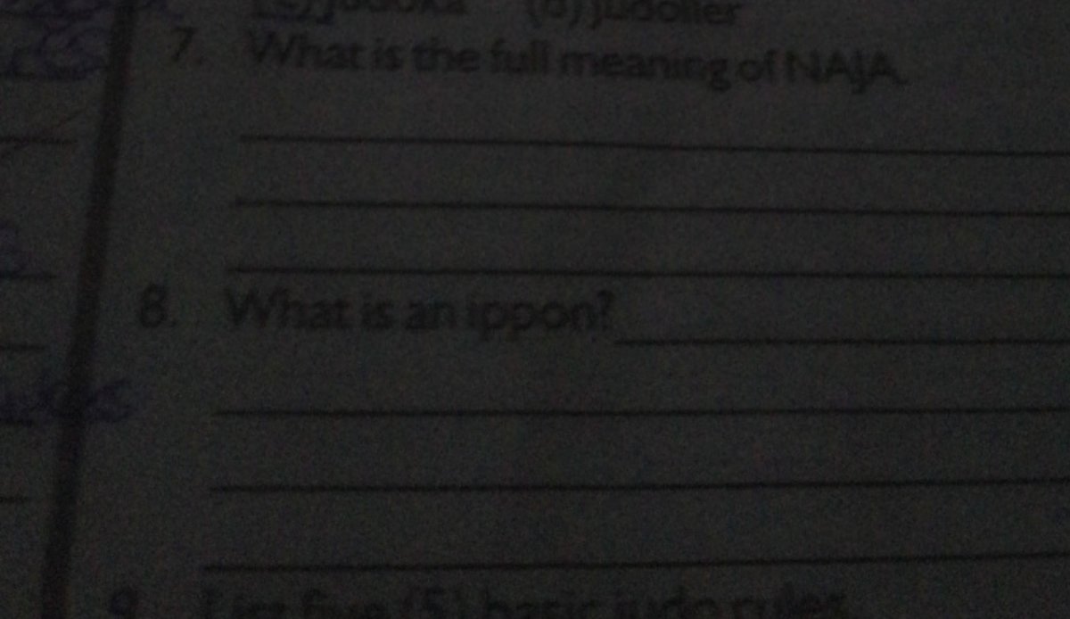 What is the full meaning of NAJA. What is an ippon? | Filo