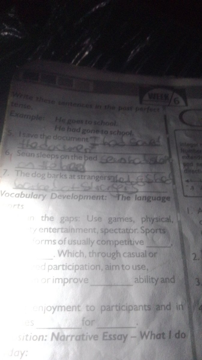 Write these sentences in the past perfect tense. Example: He goes to sch..