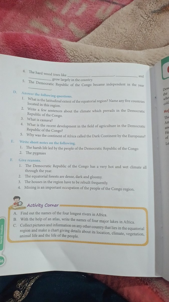Here are the questions: D. Answer the following questions. What is the l..