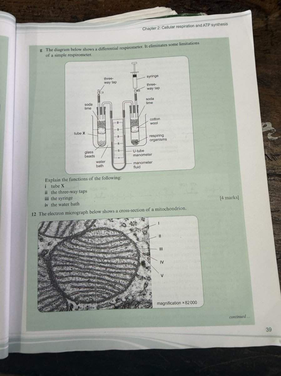 g The diagram below shows a differential respirometer. It eliminates some..