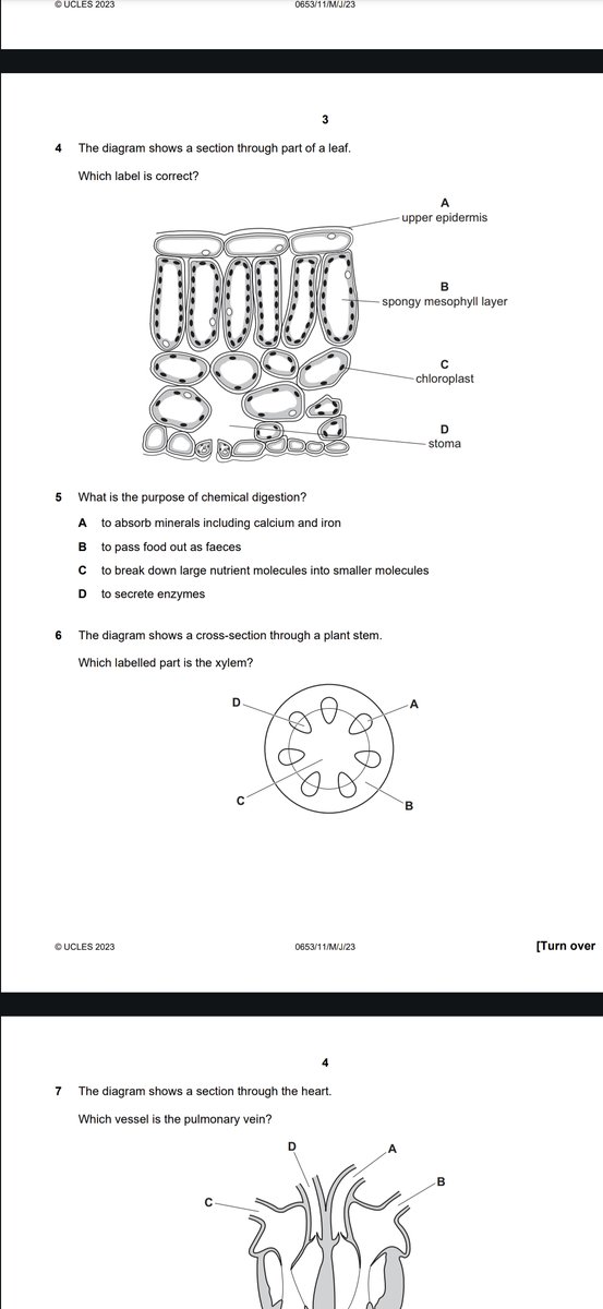 4 The diagram shows a section through part of a leaf. Which label is corr..