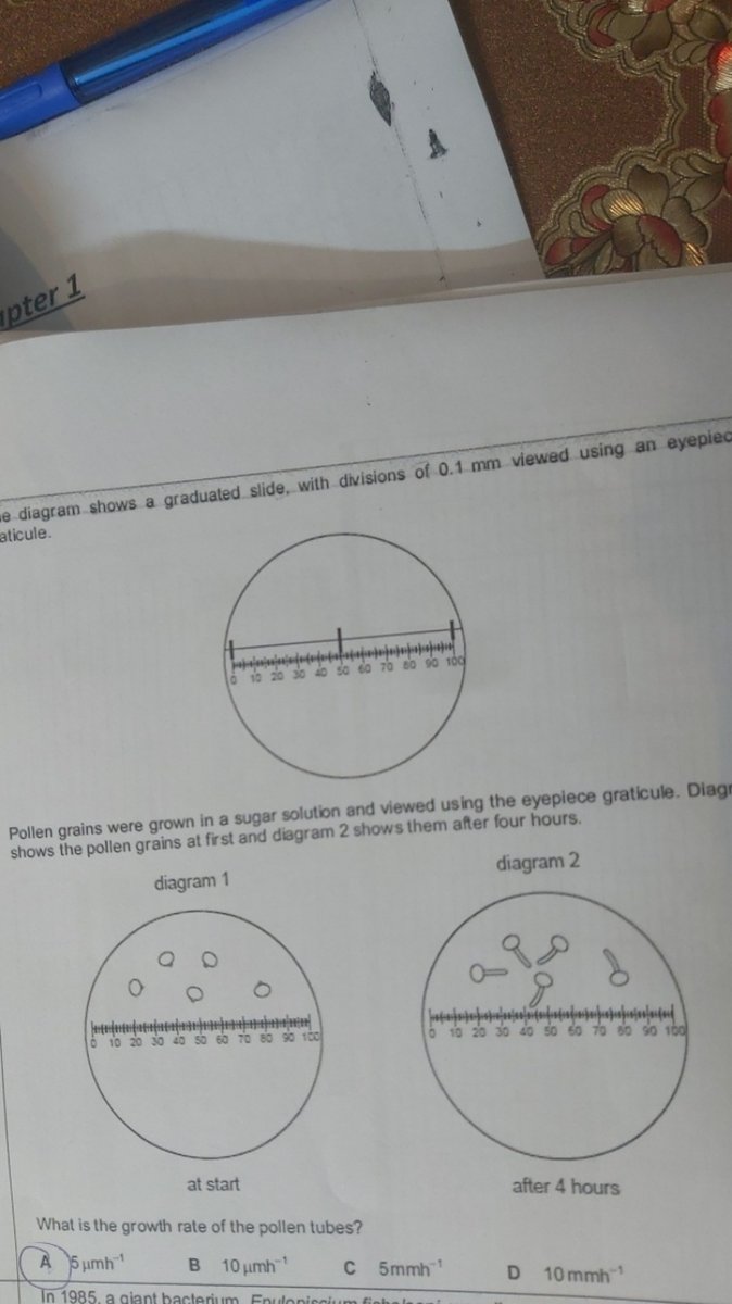 The diagram shows a graduated slide, with divisions of 0.1 mm viewed usin..