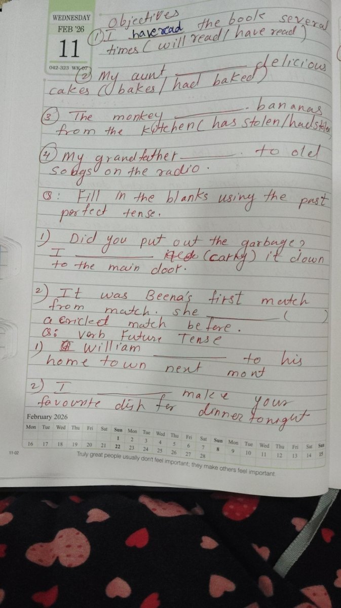 Fill in the blanks using the past perfect tense. 1) Did you put out the