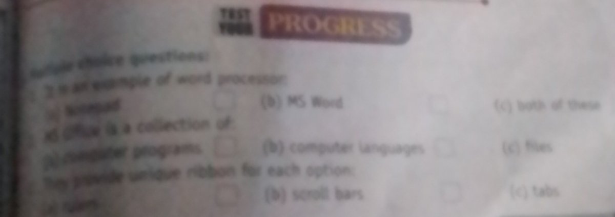 Multiple choice questions: Is an example of word processor: (a) Notep..