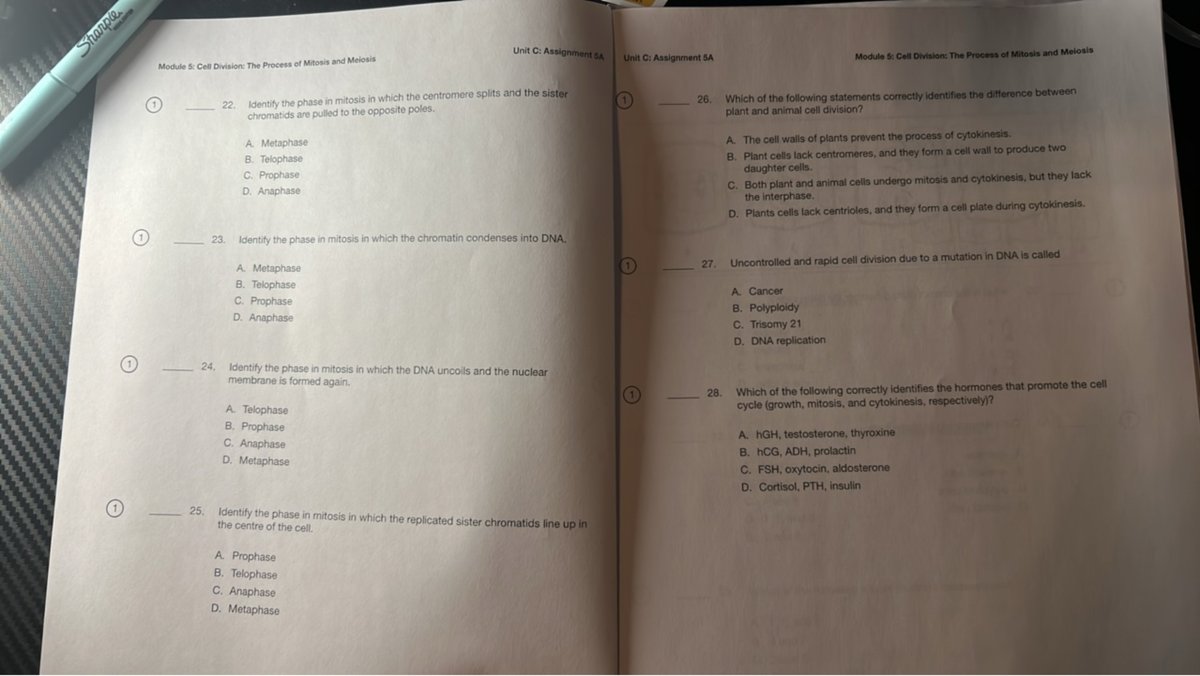 Module 5: Cell Division: The Process of Mitosis and Meiosis Identify the..
