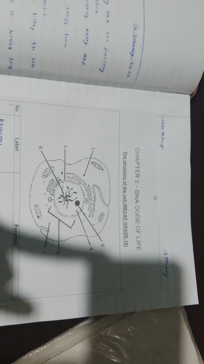 CHAPTER 2 - DNA CODE OF LIFE The structure of the cell (RECAP GRADE 10)