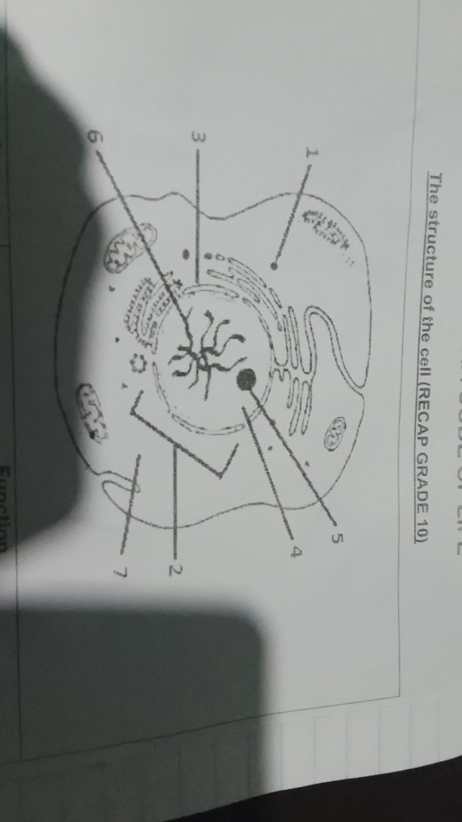The structure of the cell (RECAP GRADE 10) Identify the numbered parts o..