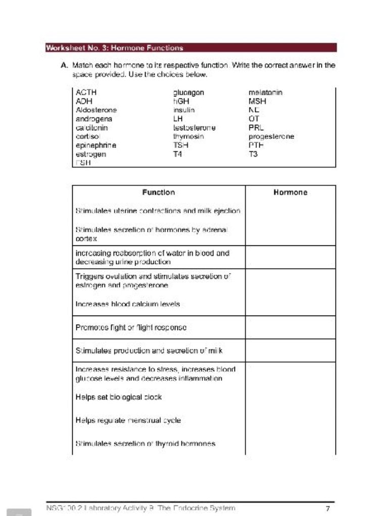 Worksheet No. 3: Hormone Functions A. Match each hormone to ite respectiv..