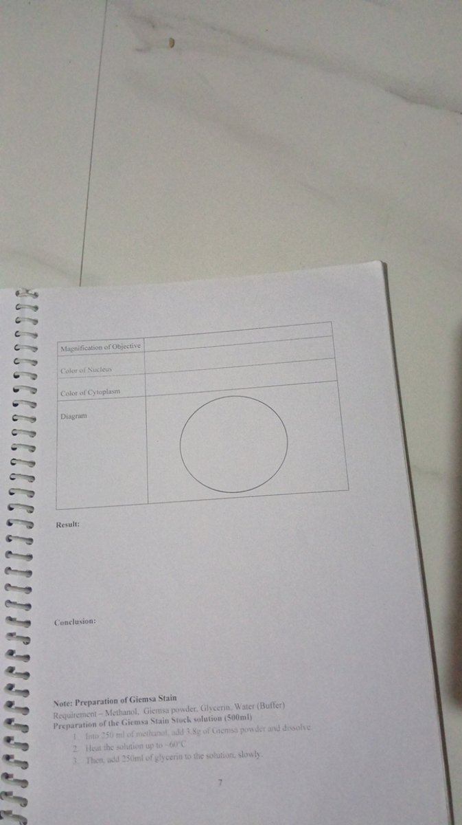 Magnification of Objective Color of Nucleus Color of Cytoplasm Diagram R..