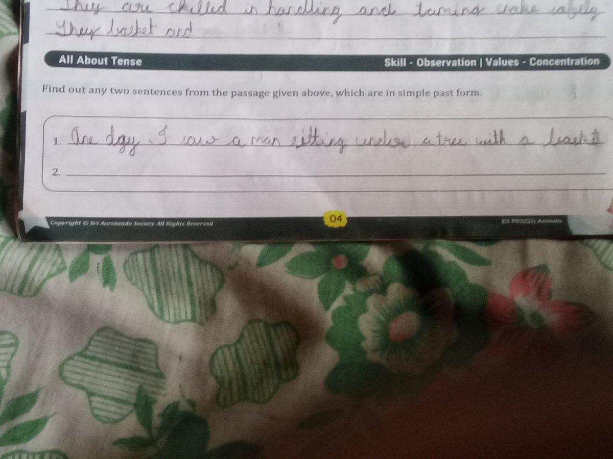 Find out any two sentences from the passage given above, which are in sim..