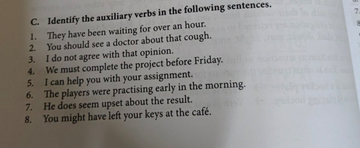 C. Identify the auxiliary verbs in the following sentences. They have bee..