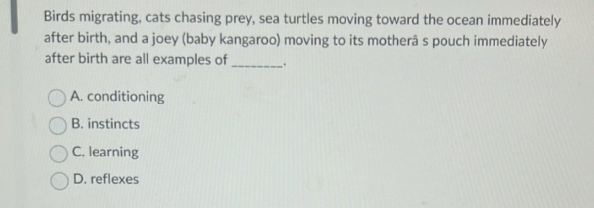 Birds migrating, cats chasing prey, sea turtles moving toward the ocean i..