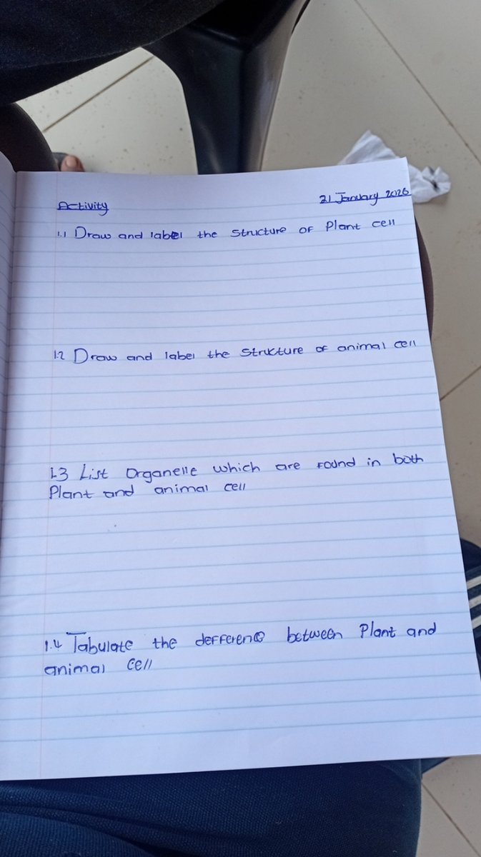 Activity 1.1 Draw and label the structure of a plant cell. 1.2 Draw and