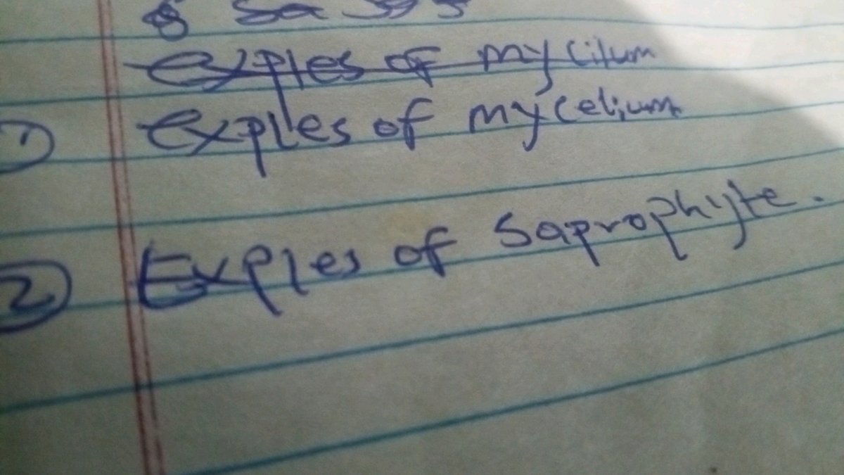 Examples of mycelium Examples of Saprophyte. | Filo