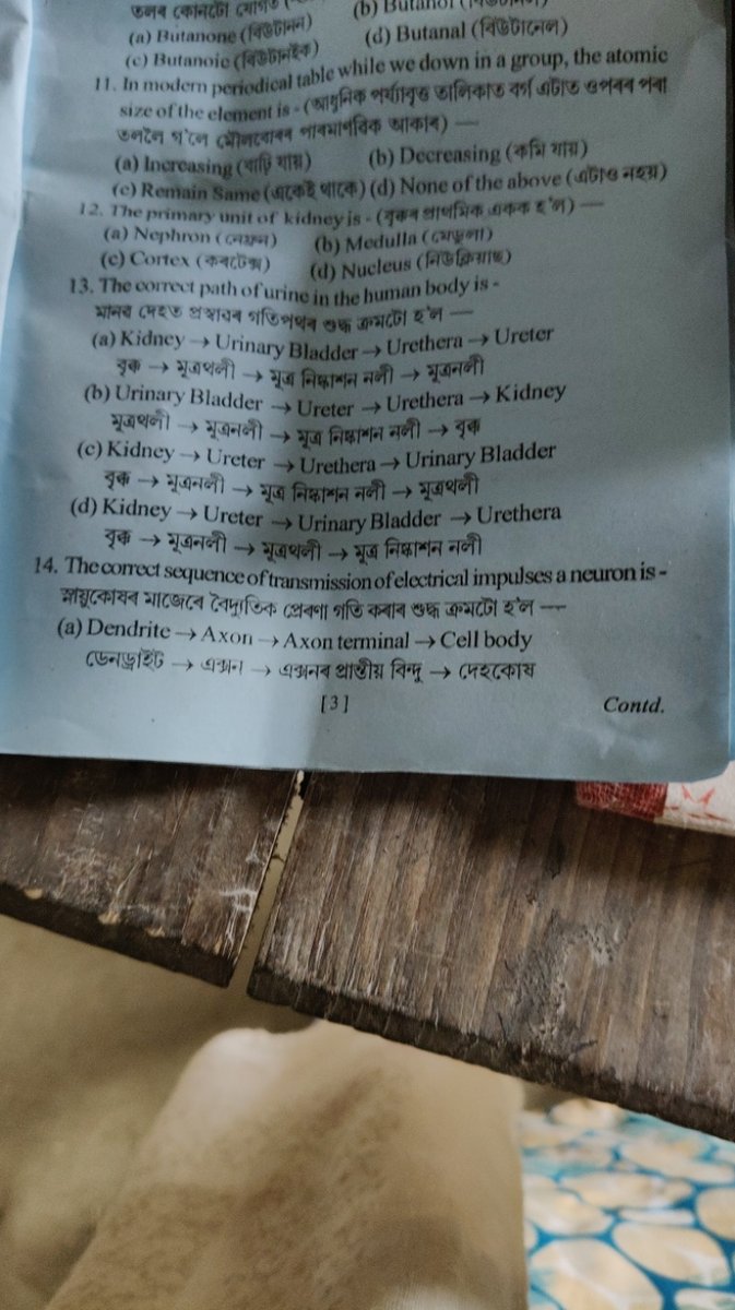 In modern periodical table while we down in a group, the atomic size of t..