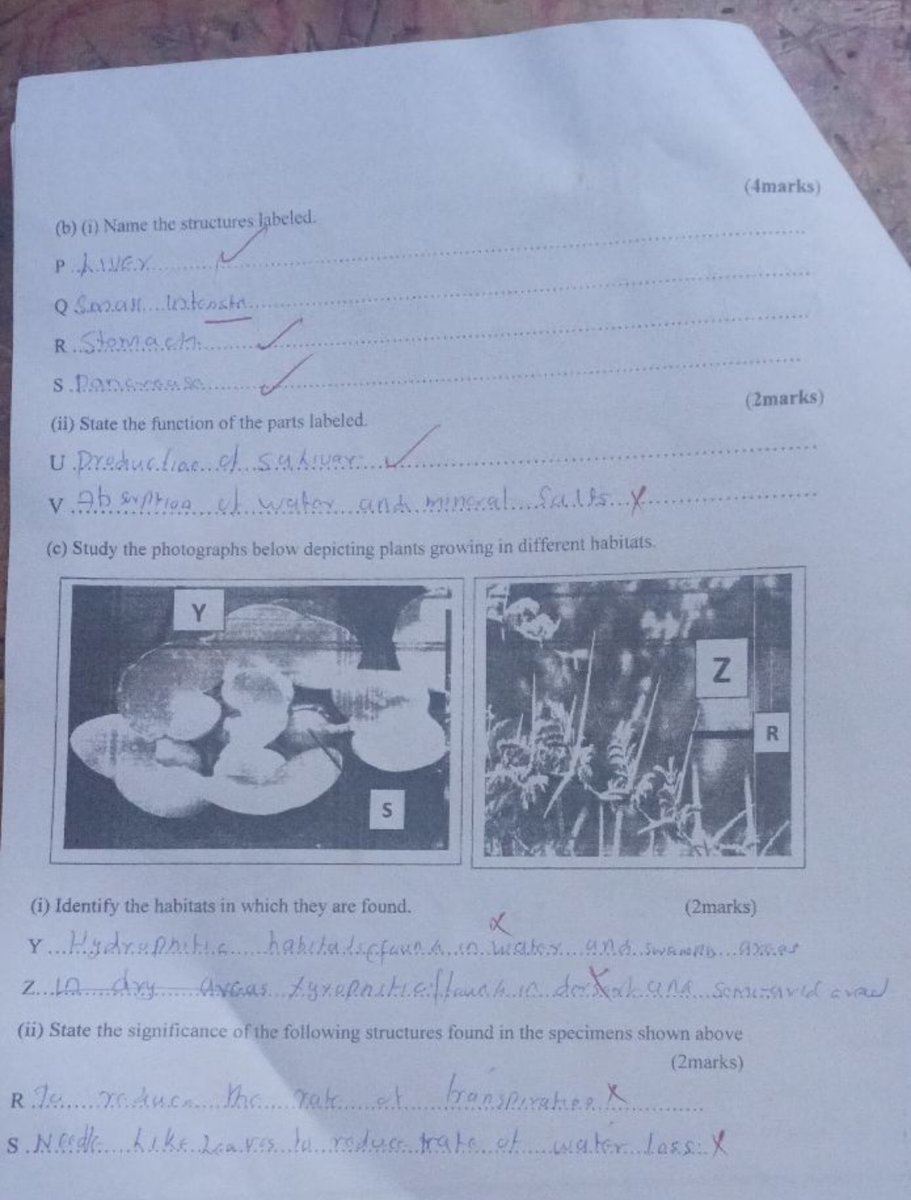 (b) (i) Name the structures labeled. P. Q. R. S. (ii) State the function..