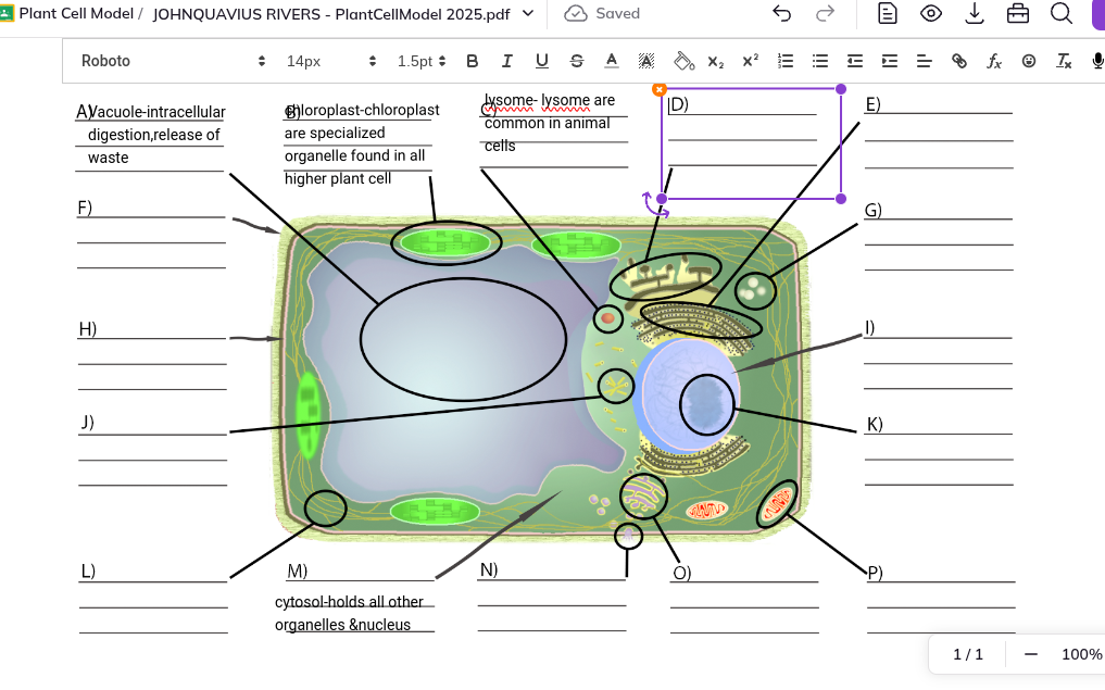 The image provided is a diagram of a plant cell with various organelles l..