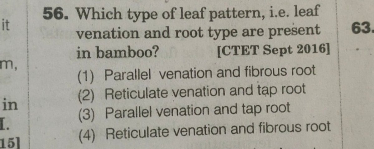 Which type of leaf pattern, i.e. leaf venation and root type are present