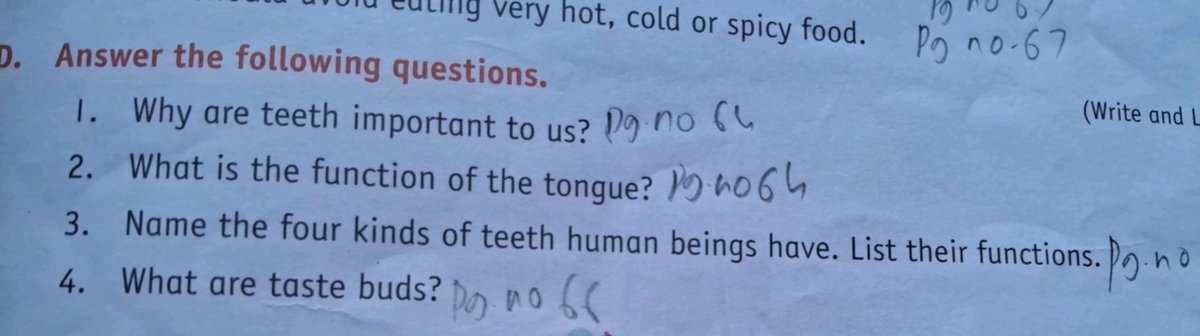 Answer the following questions. Why are teeth important to us? What is th..
