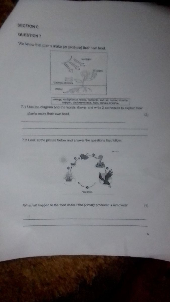 SECTION C QUESTION 7 We know that plants make (or produce) their own foo..