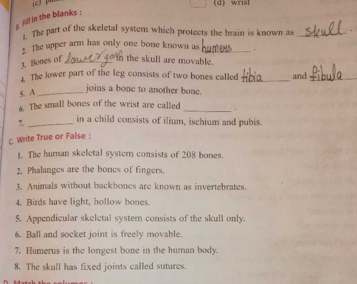 B. Fill in the blanks: The part of the skeletal system which protects the..
