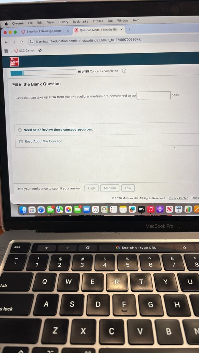 Fill in the Blank Question Cells that can take up DNA from the extracell..